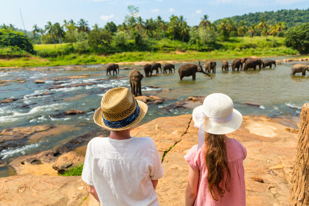 Sri Lanka with Kids: The Ultimate Family Holiday Guide to Sri Lanka
